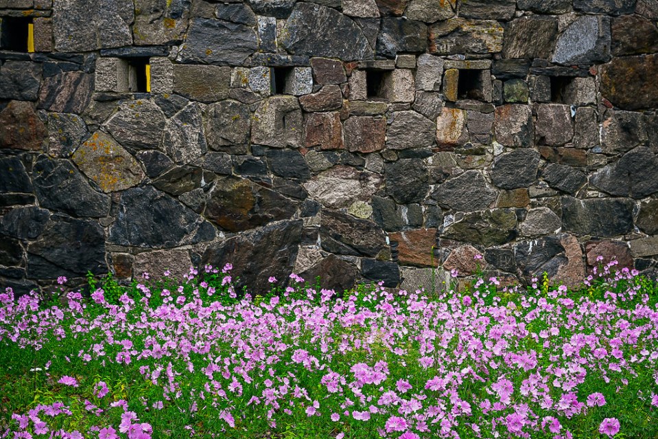 Helsinki for a Day - The Grain and Grape