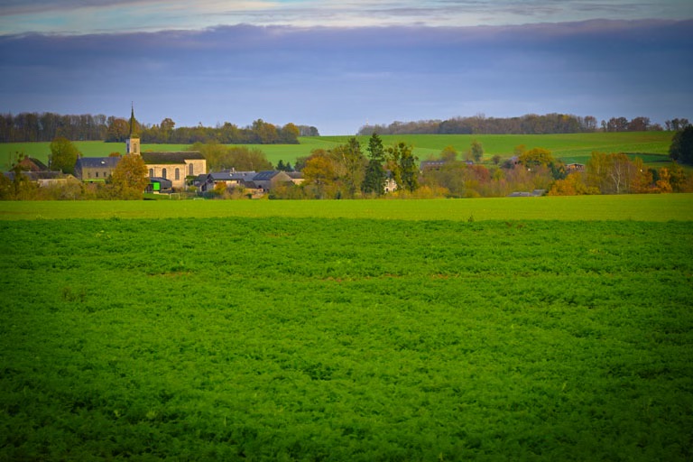 Escape to the Château - The Grain and Grape
